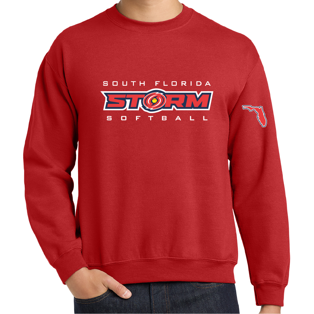 South Florida Storm Baseball Pull Over Hoodie – Edison Custom Inc
