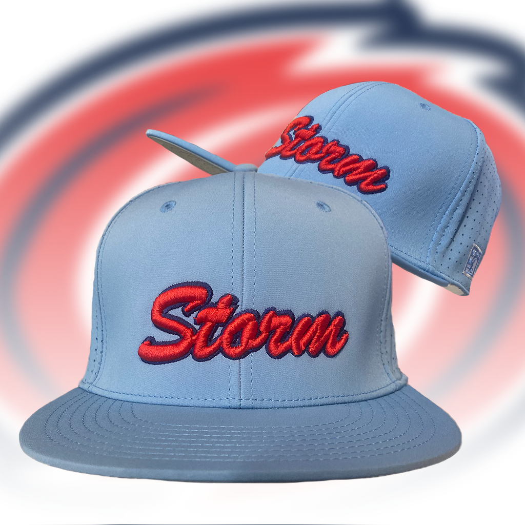 SFS Baseball Embroidered Baseball Hat – Edison Custom Inc